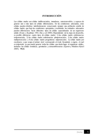 Celulas madre totipotentes | DOCX