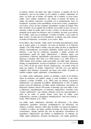 Celulas madre totipotentes | DOCX