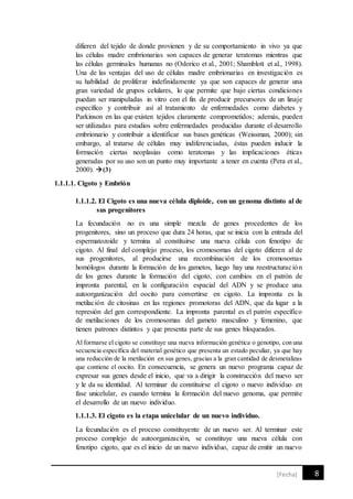 Celulas madre totipotentes | DOCX