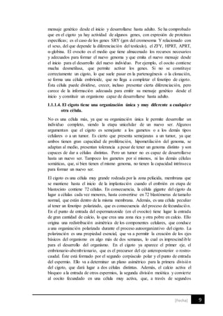 Celulas madre totipotentes | DOCX