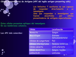 Celulas presentadoras de_antigenos | PPTX