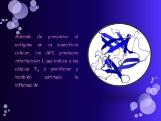 Celulas presentadoras de_antigenos | PPTX