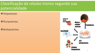 Celulas tronco | PPTX