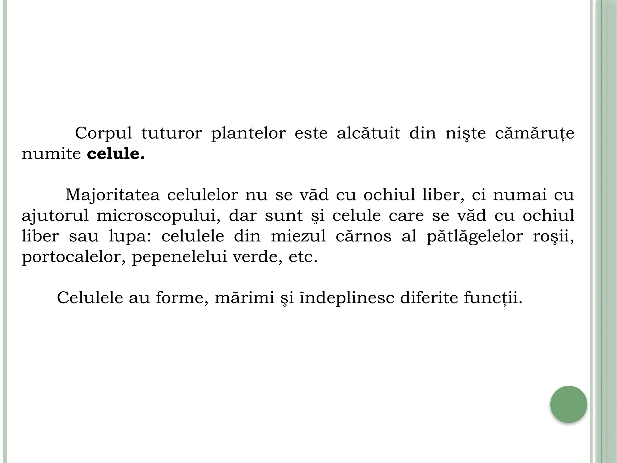 celula_vegetala proiect clasa a 6 a celula vegetala | PPTX