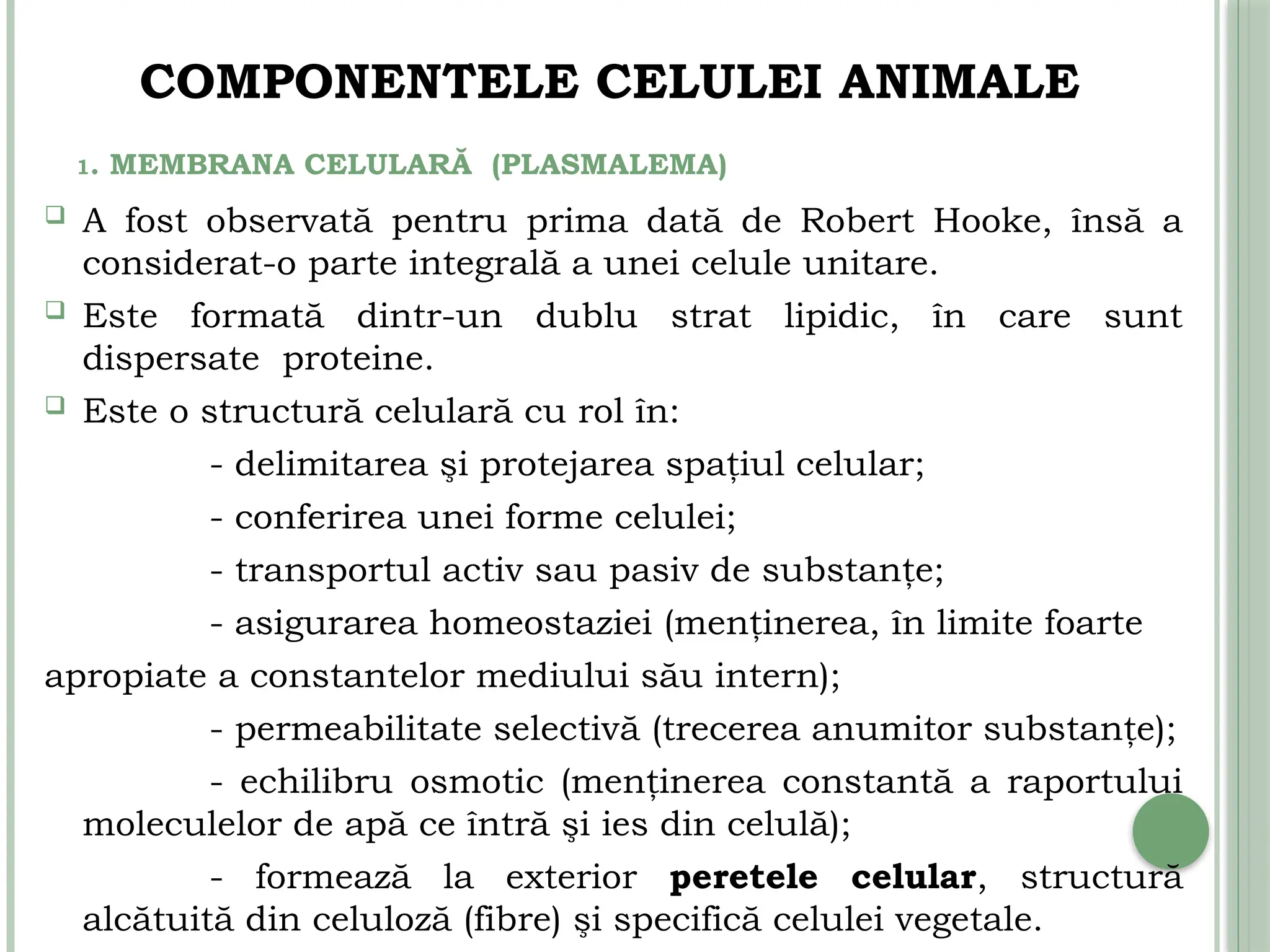 celula_vegetala proiect clasa a 6 a celula vegetala | PPTX