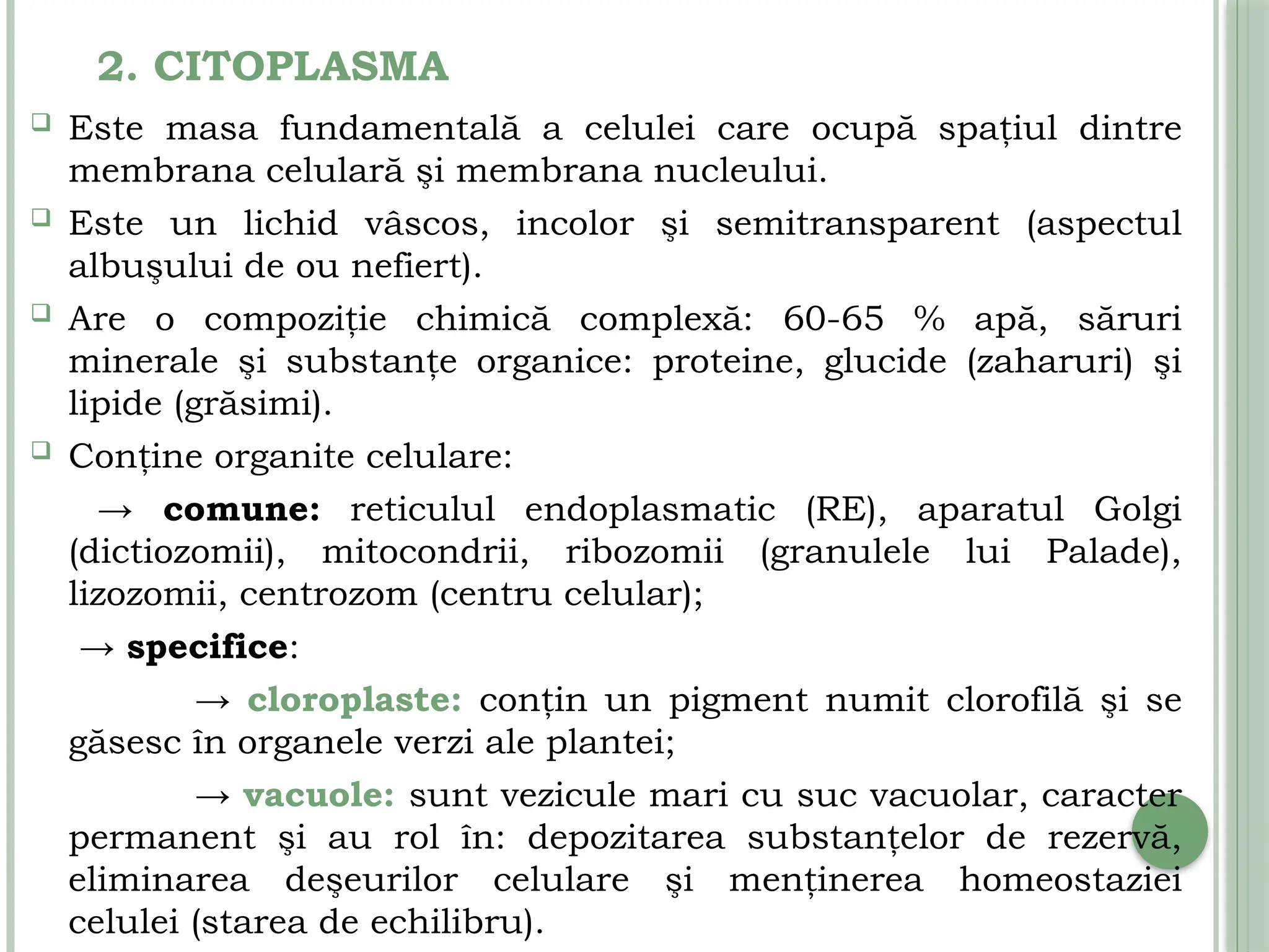 celula_vegetala proiect clasa a 6 a celula vegetala | PPTX