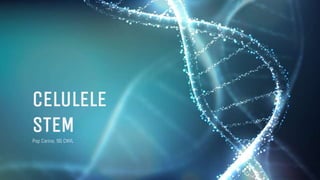 Celulele stem | PPTX