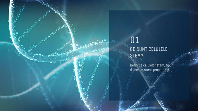 Celulele stem | PPTX