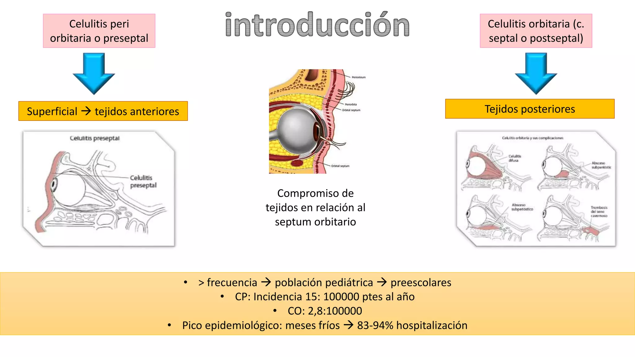 Celulitis preseptal y orbitaria | PPTX