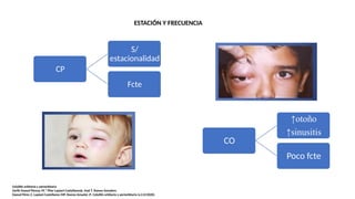 celulitis preseptal y postseptal en pediatria | PPTX