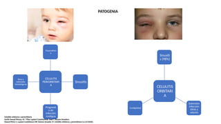 celulitis preseptal y postseptal en pediatria | PPTX