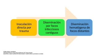 celulitis preseptal y postseptal en pediatria | PPTX