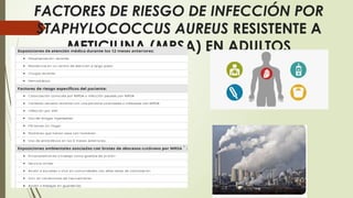 1234566788yteyCELULITIS Y ERISIPELA.pptx