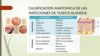 1234566788yteyCELULITIS Y ERISIPELA.pptx