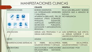 1234566788yteyCELULITIS Y ERISIPELA.pptx