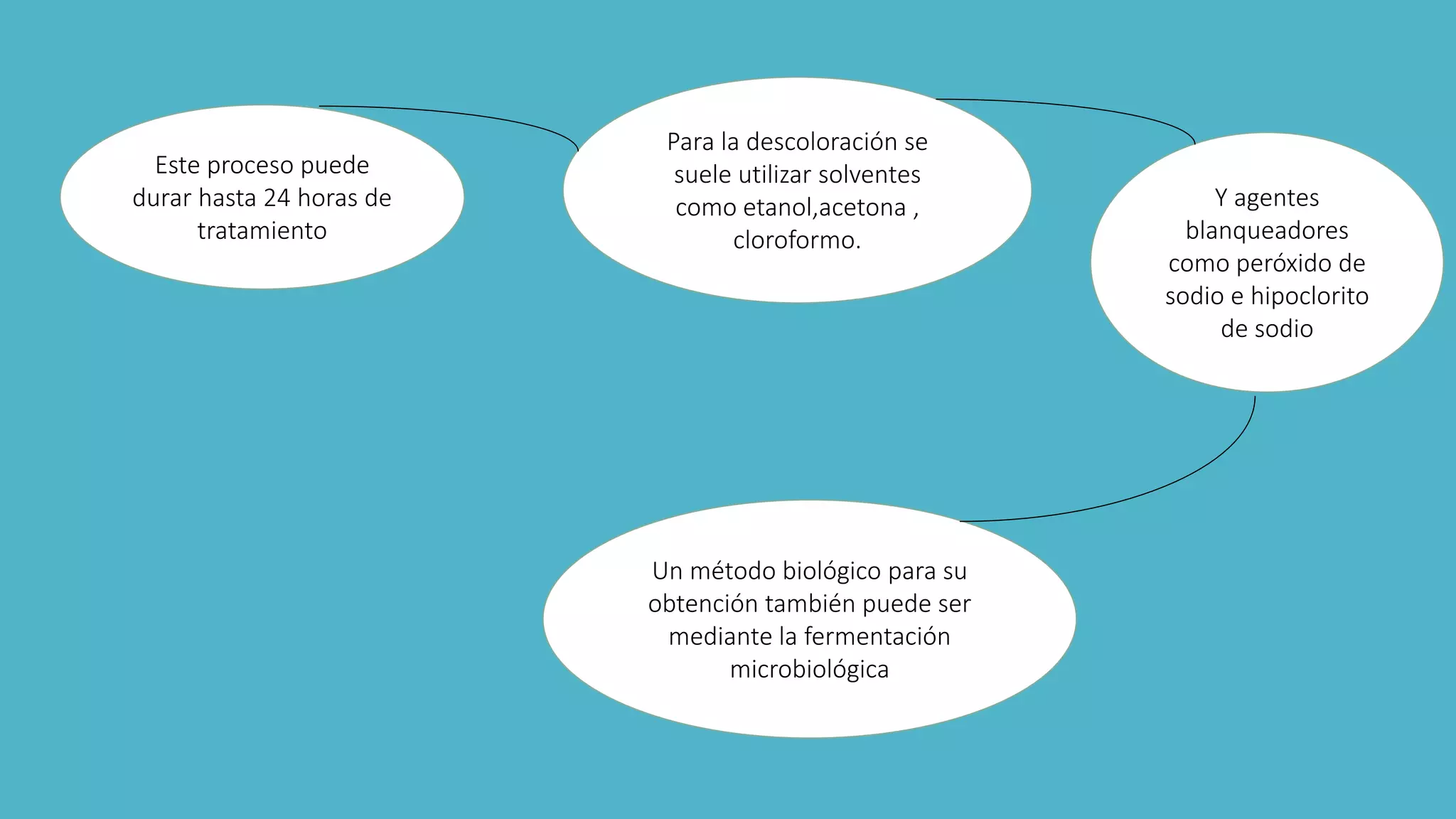 Celulosa y quitina por Sara Canchignia | PPTX