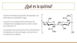 Celulosa y quitina | PPTX