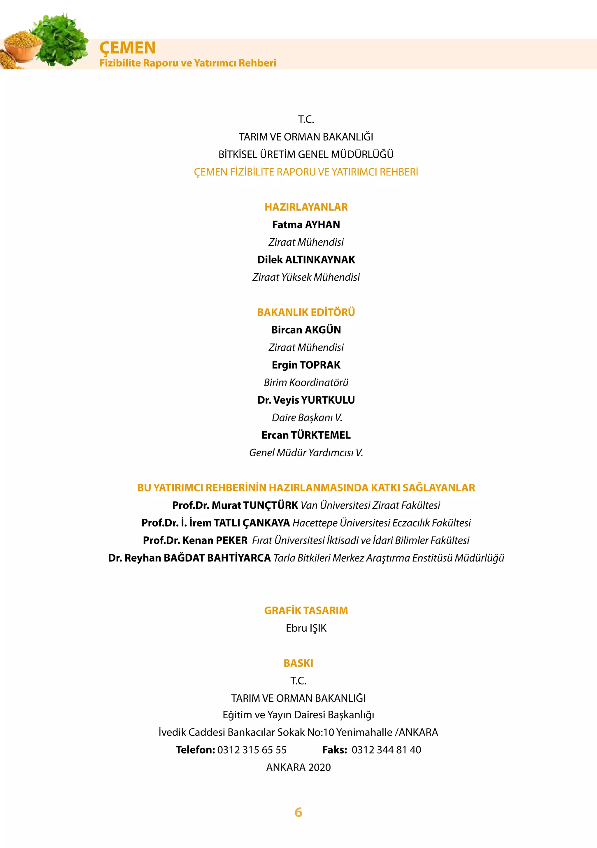 Çemen Fizibilite Raporu ve Yatırımcı Rehberi | PDF