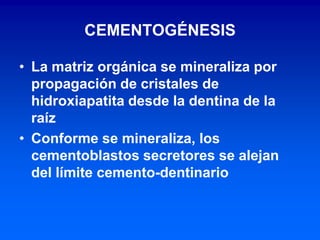 CEMENTO DENTAL | PPT