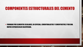 cemento radicular y partes del periodonto | PPTX