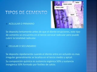 Cemento bioquimica | PPTX