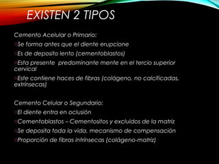 Cemento (funcion y consideraciones clinicas) | PPT
