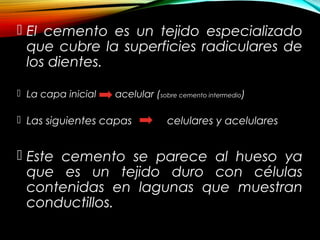 Cemento (funcion y consideraciones clinicas) | PPT