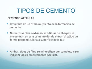 Cementogenesis | PPTX