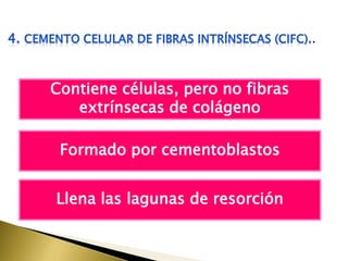 Cemento radicular | PPT