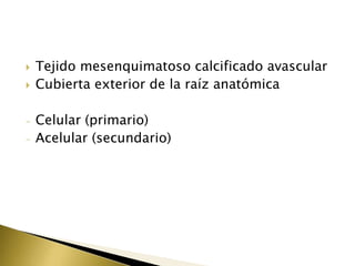 Cemento radicular | PPTX