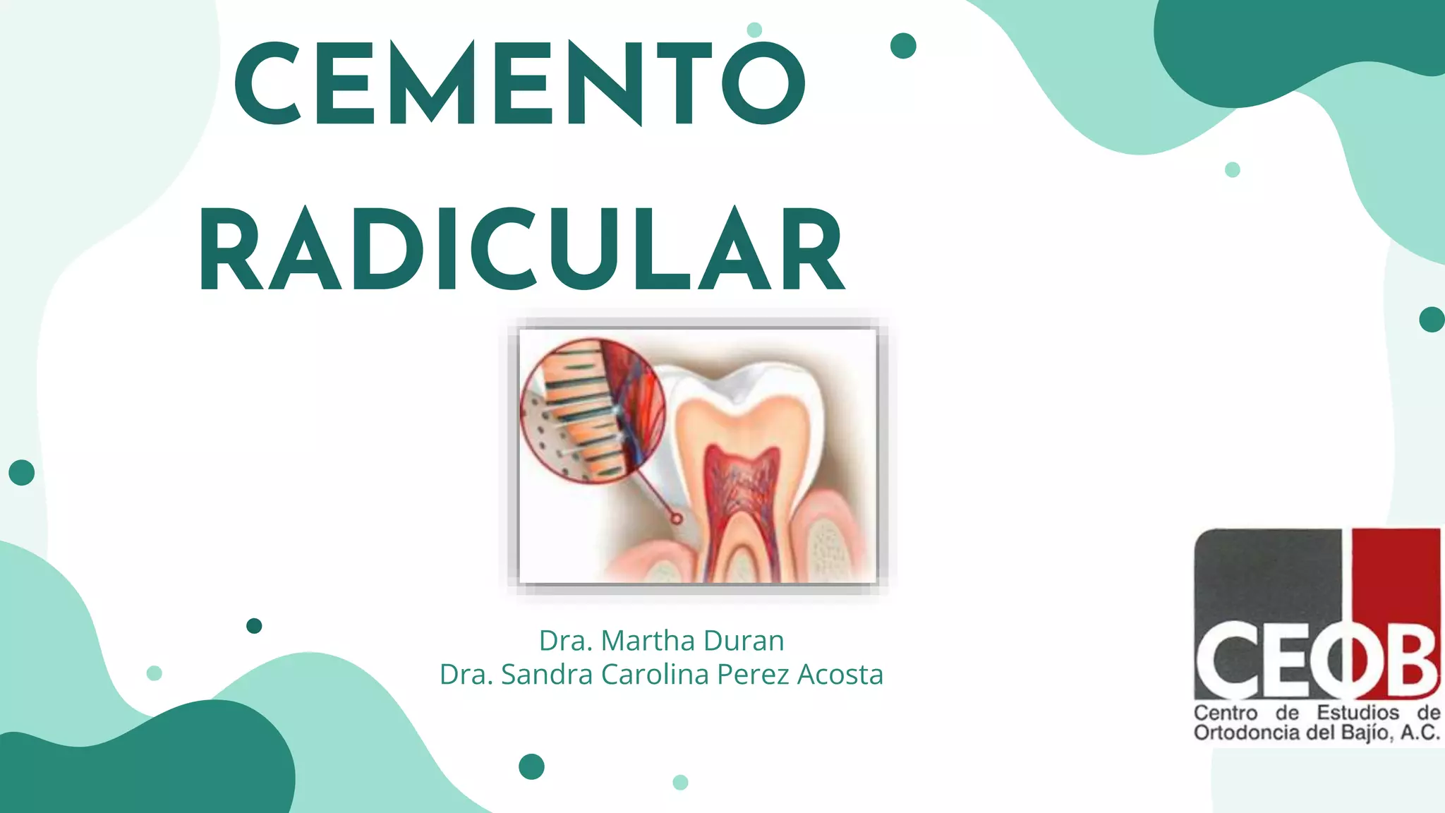 cemento radicular.pptx