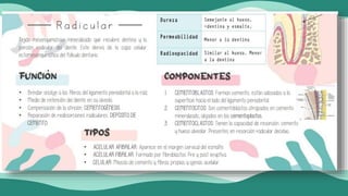 cemento radicular.pptx