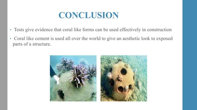 Cement similar to composition to corals | PPT
