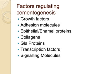 Cementum | PPTX