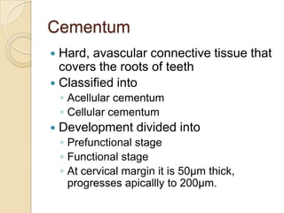 Cementum | PPTX