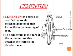 Cementum 140228101323-phpapp02 | PPTX