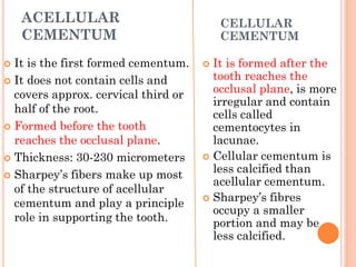 Cementum | PPT