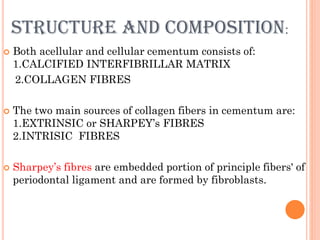 Cementum | PPT