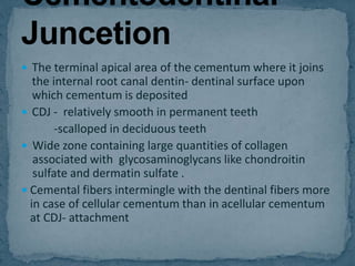 Cementum | PPTX