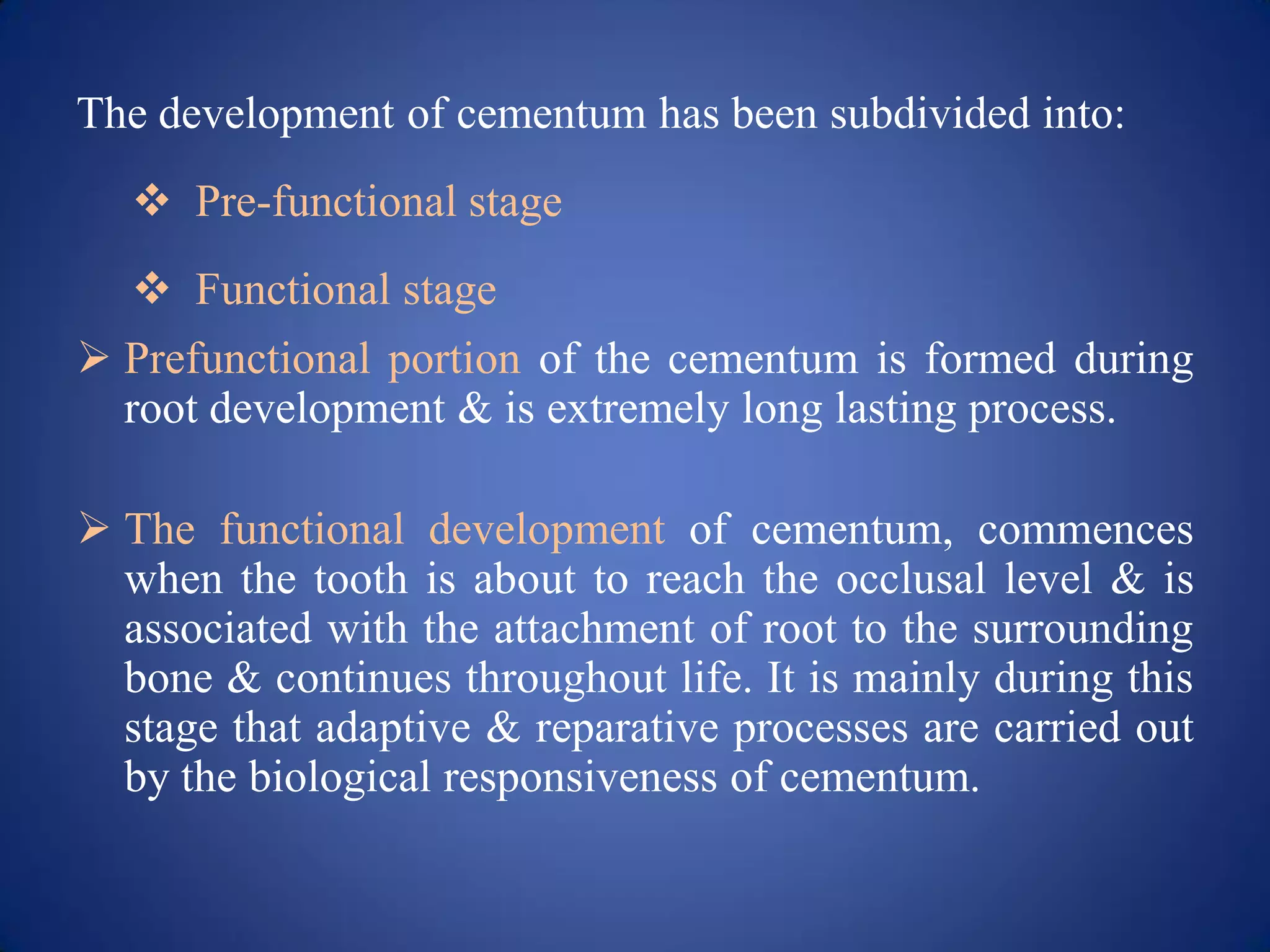 Cementum | PDF