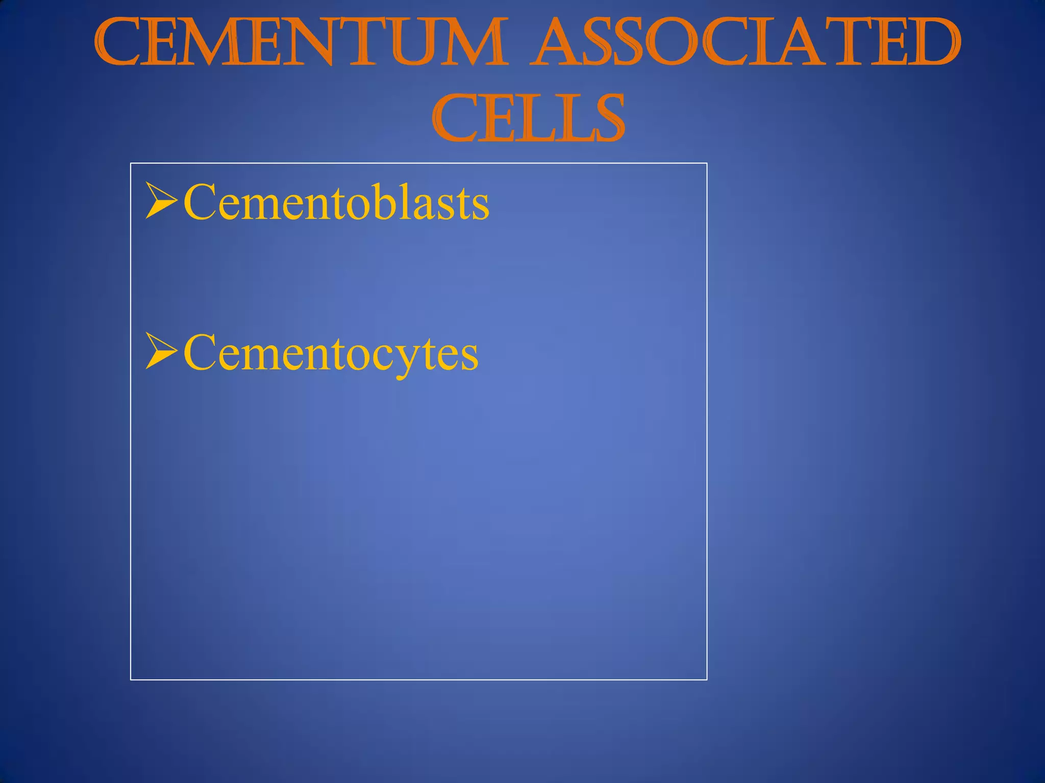 Cementum | PDF