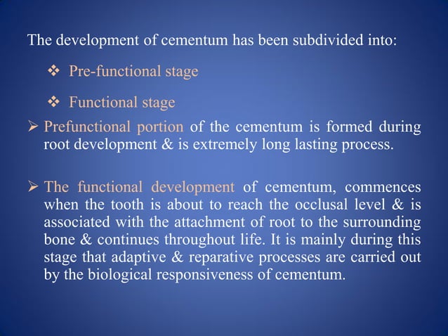 Cementum | PDF | Dental Health | Diseases and Conditions