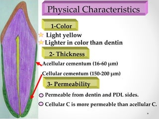 Cementum | PPTX