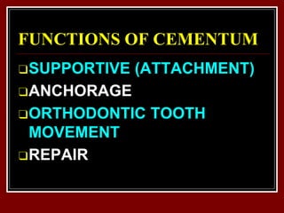CEMENTUM | PPTX