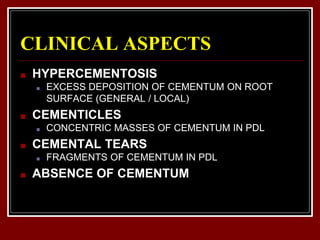 CEMENTUM | PPTX