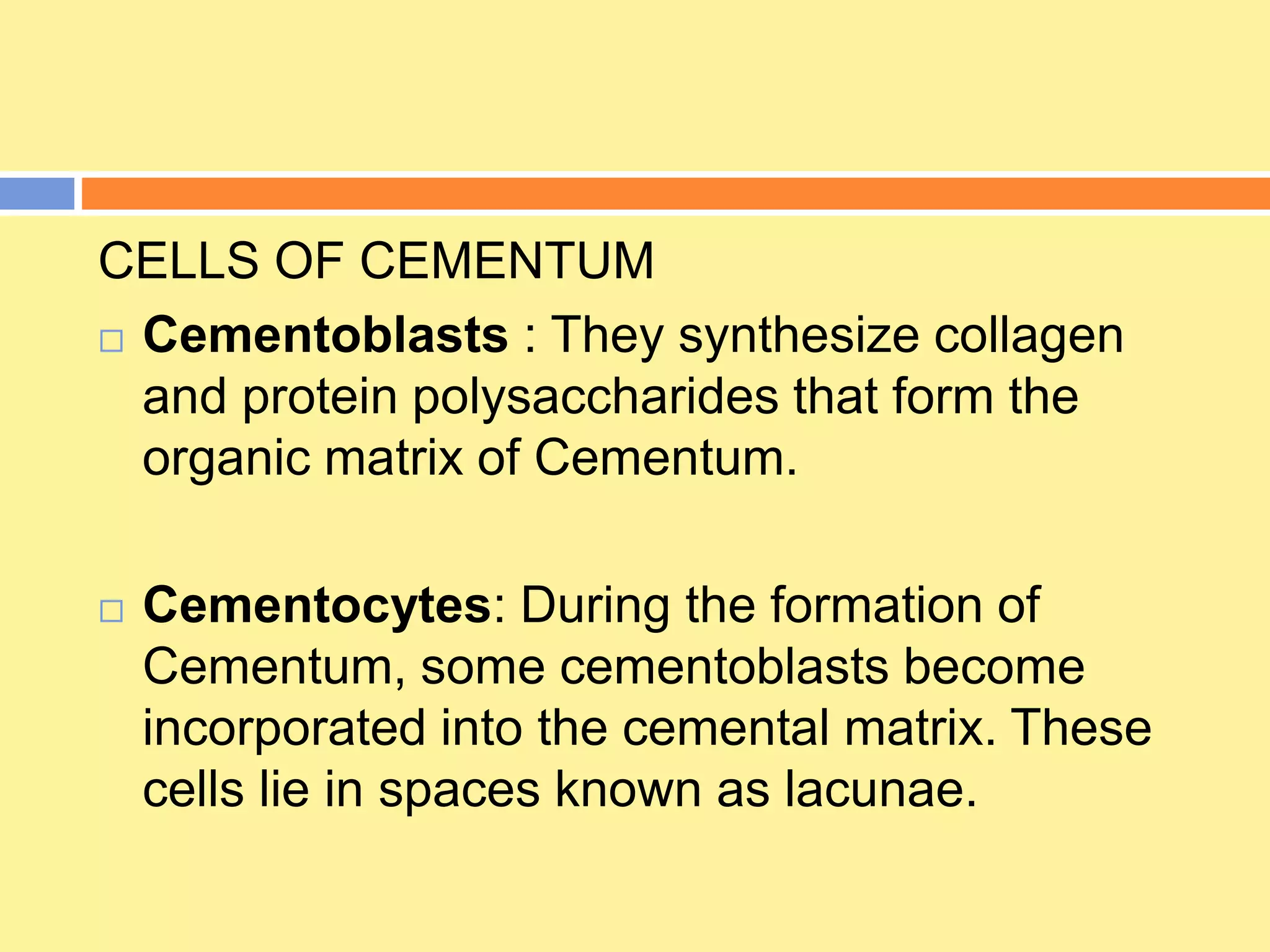Cementum | PPTX