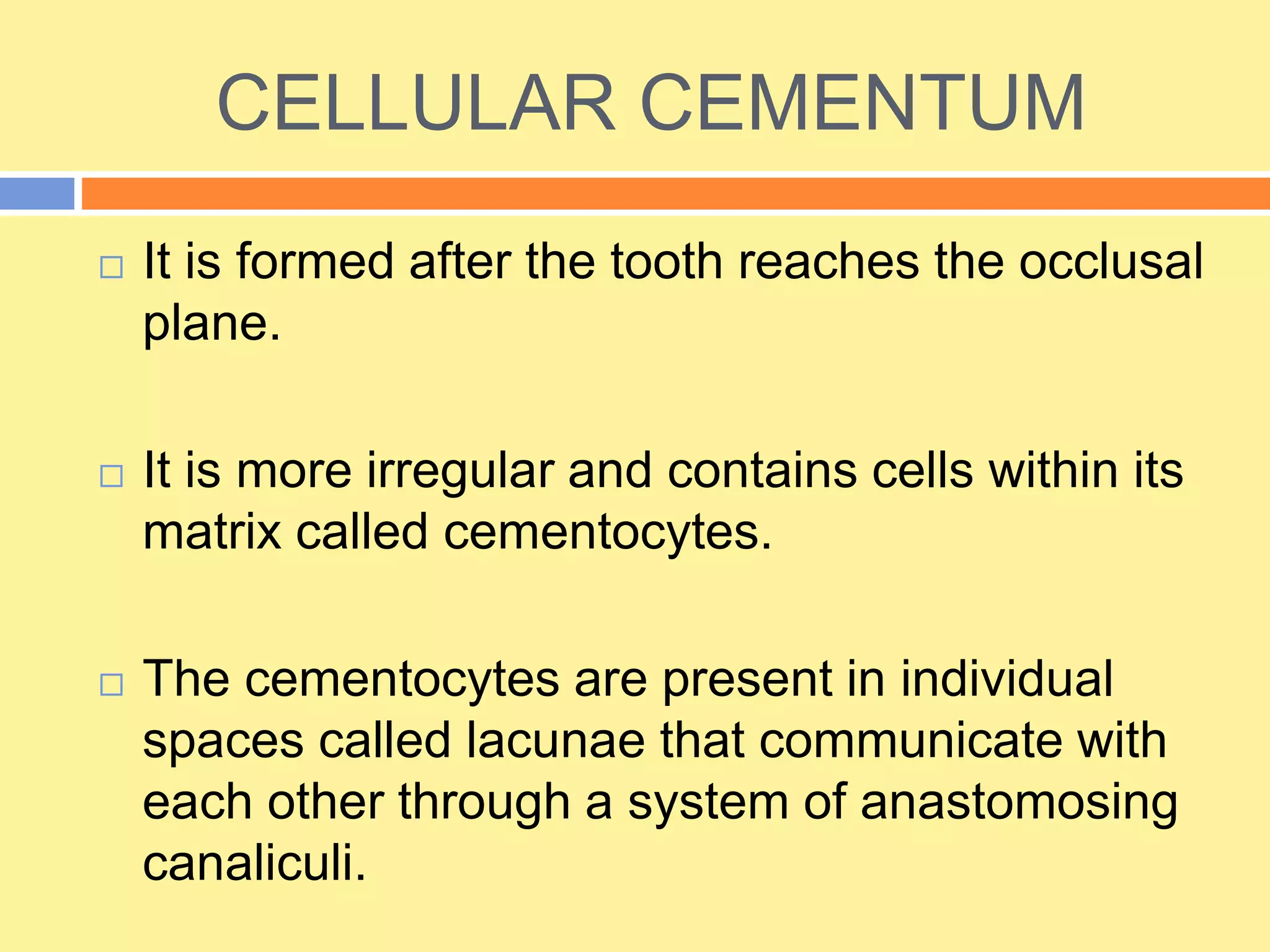 Cementum | PPTX