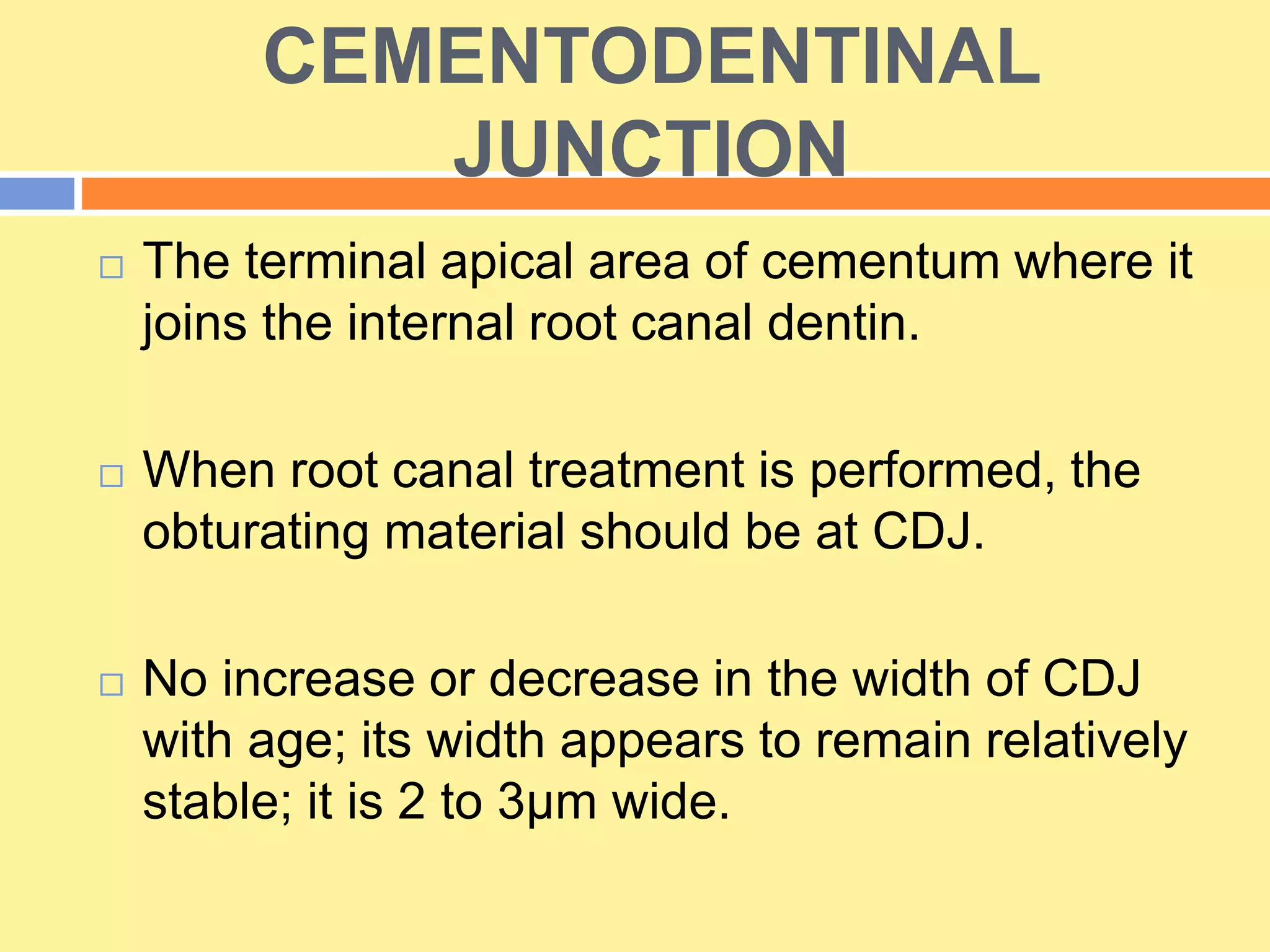 Cementum | PPTX