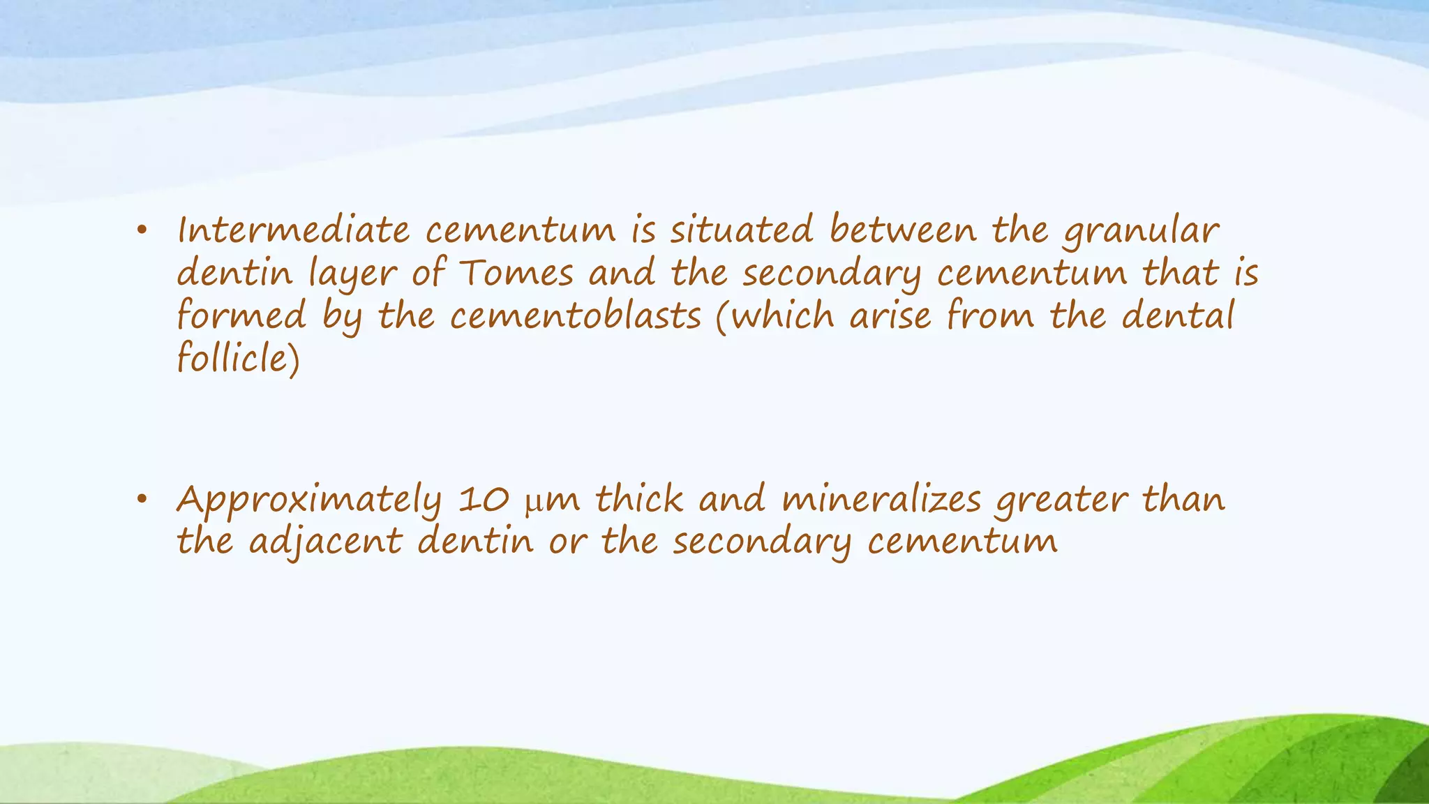 Cementum | PPTX