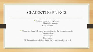 Cementum | PPTX